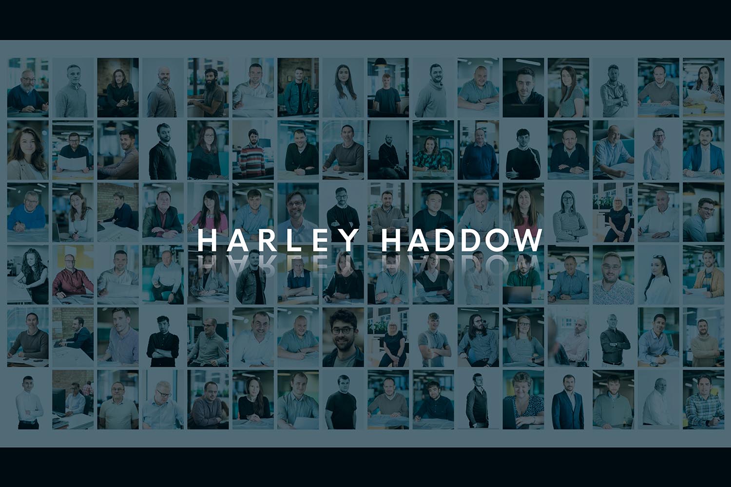Careers - Harley Haddow